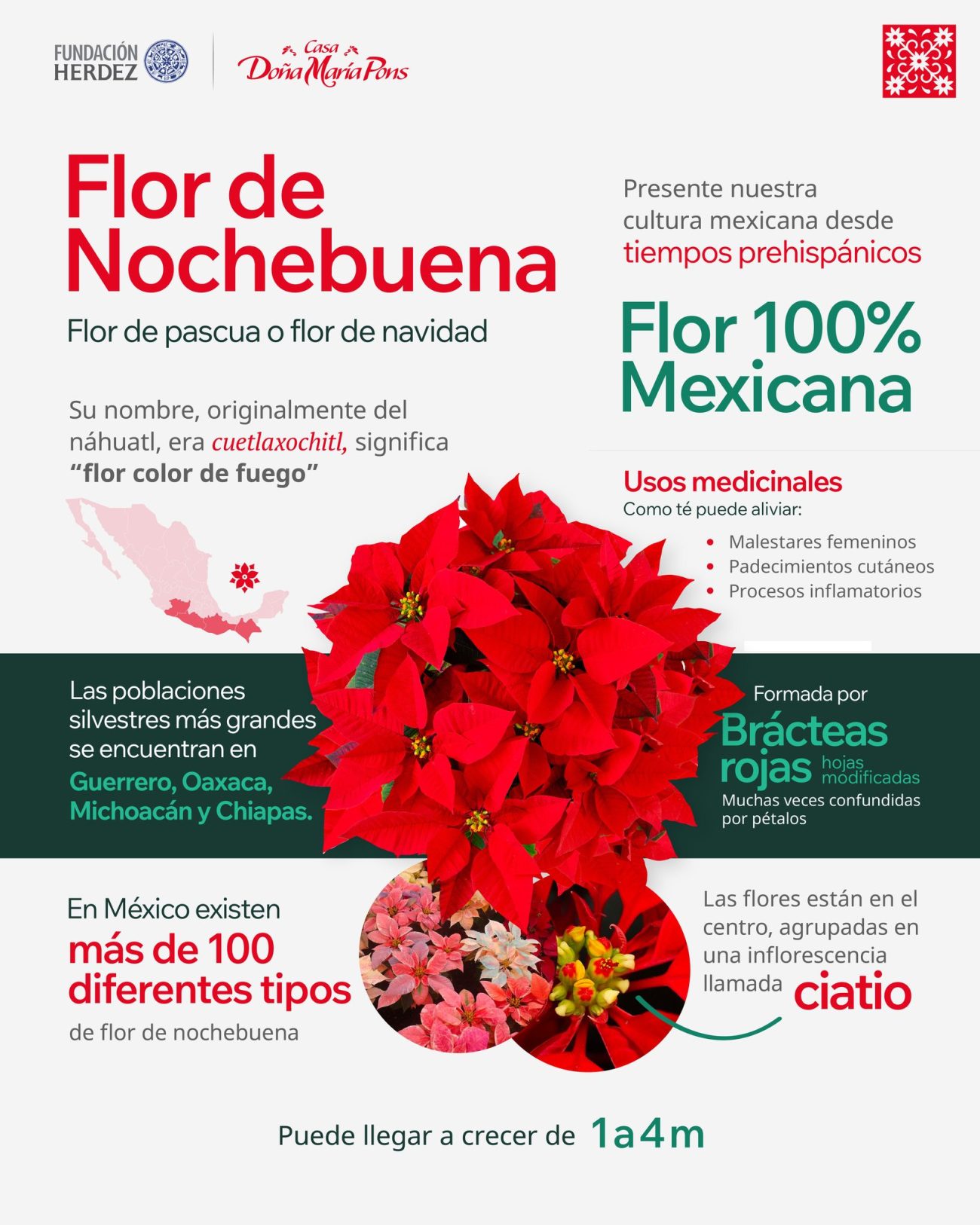 Infografías – Fundación Herdez