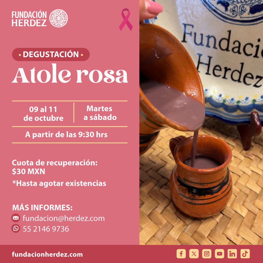 Atole Rosa – Fundación Herdez